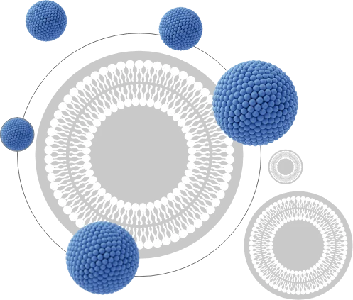 Lipozomal Teknoloji Nedir?